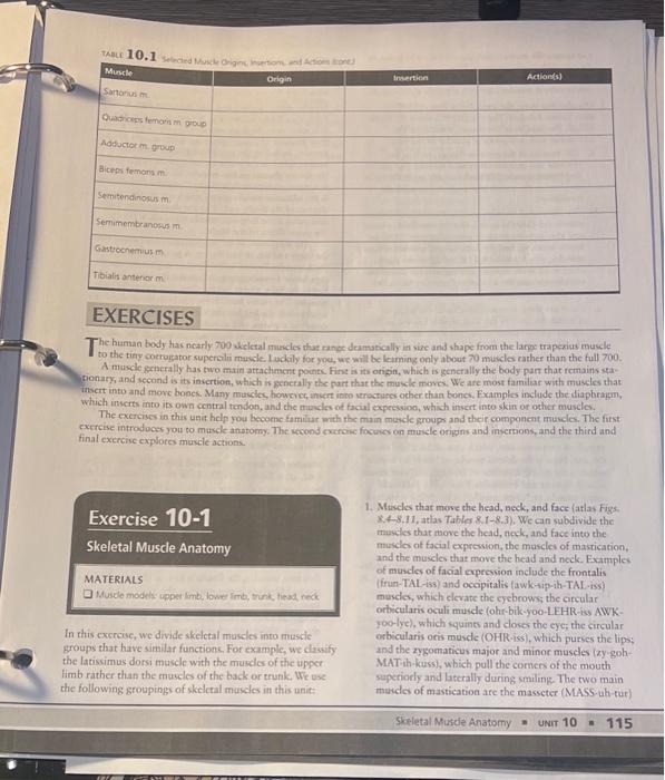 Solved EXERCISES The human body has nearly 700 welctal | Chegg.com