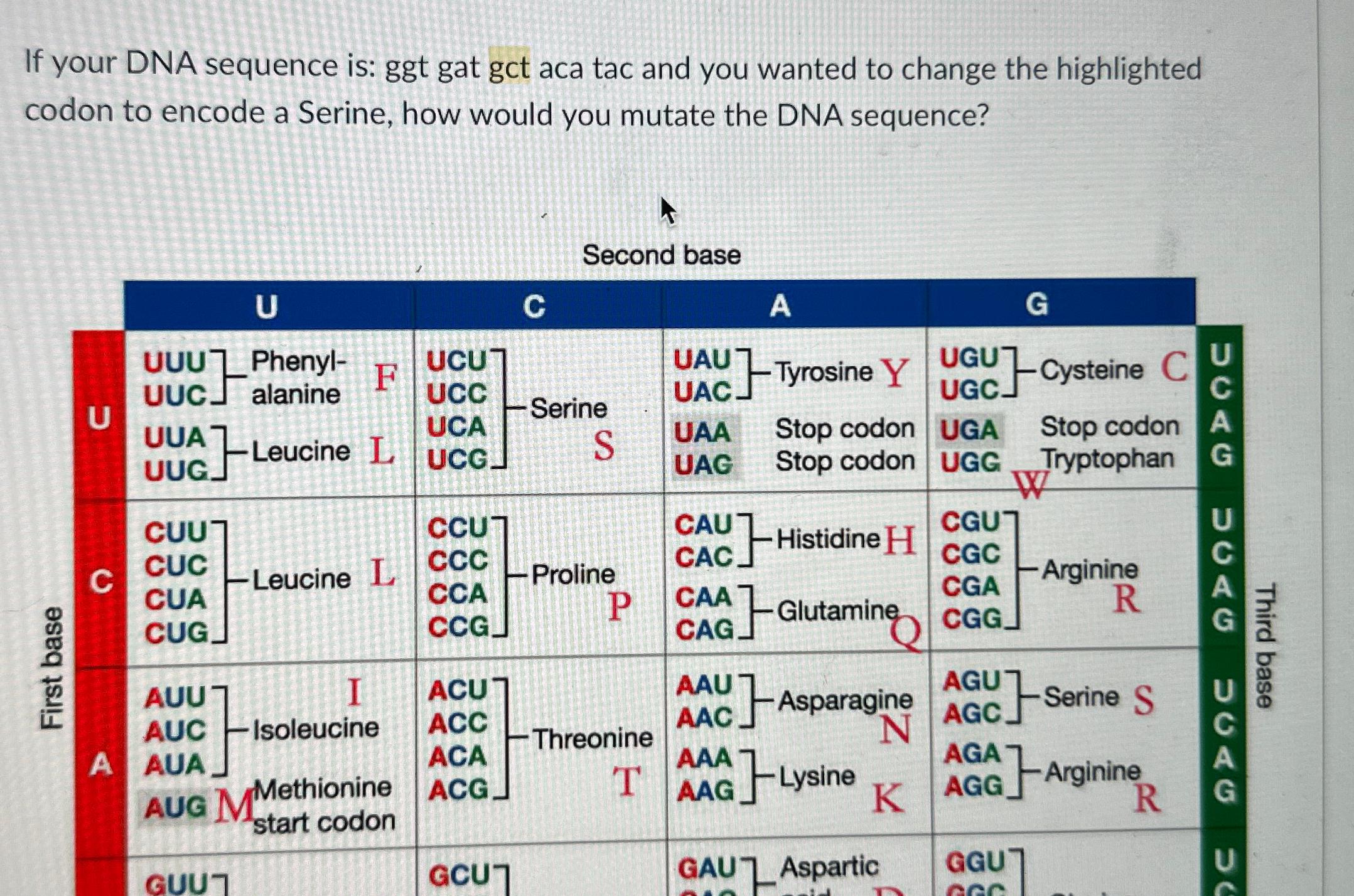 Solved If your DNA sequence is: ggt gat gct aca tac and you | Chegg.com