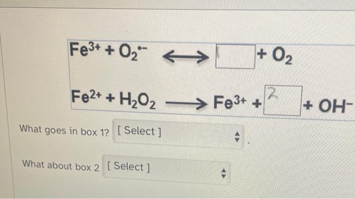 Solved Fe3++O2∗− +O2Fe2++H2O2 Fe3+++OH What goes in box 1 ? | Chegg.com