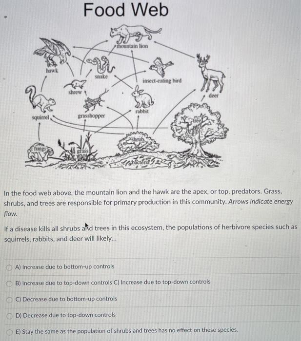 Solved Food Web mountain lion hawk snake insect-eating bird | Chegg.com