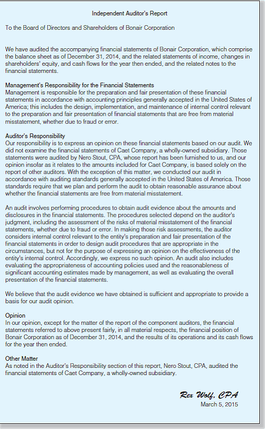 Solved: Audit Report Deficiencies: Audits of Group Financial State ...