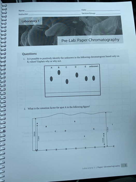Solved: Name: Instructor: Section/Group: Laboratory 1 Pre-... | Chegg.com Solved: Name: Instructor: Section/Group: Laboratory 1 Pre-... | Chegg.com