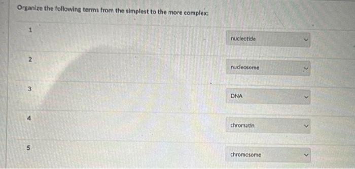 Solved Organize the following terms from the simplest to the | Chegg.com