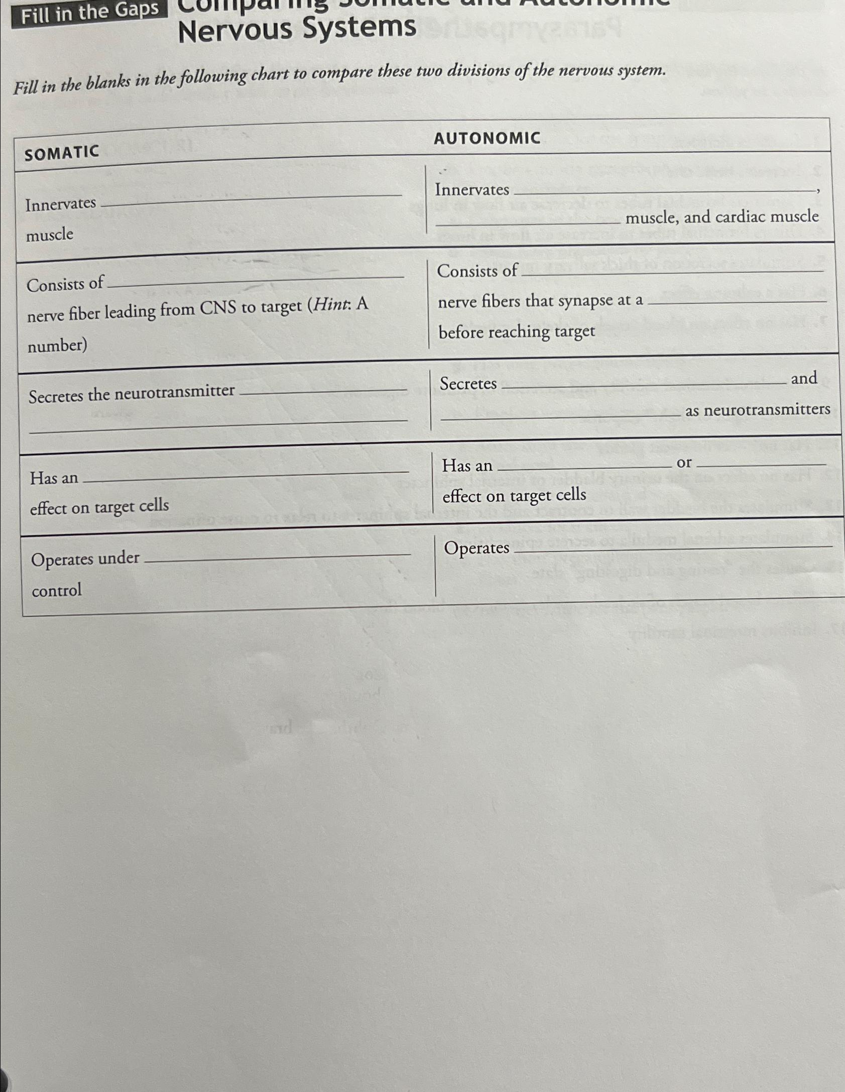 Solved Fill in the Gaps Nervous SystemsFill in the blanks in | Chegg.com