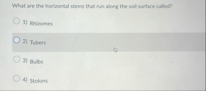 Solved What are the horizontal stems that run along the soil | Chegg.com