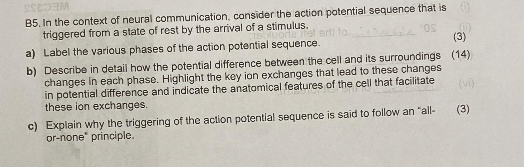 Solved B5. ﻿In the context of neural communication, consider | Chegg.com