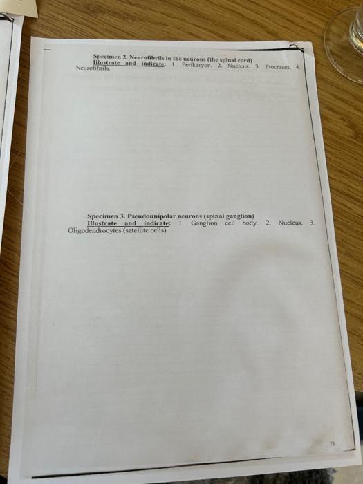 Solved Histology - as well please answer the question2 and 3 | Chegg.com