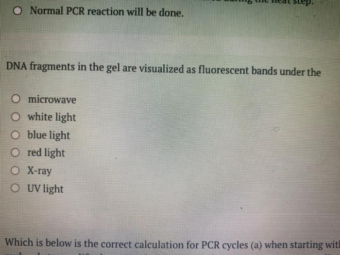 Solved Normal PCR reaction will be done. DNA fragments in | Chegg.com