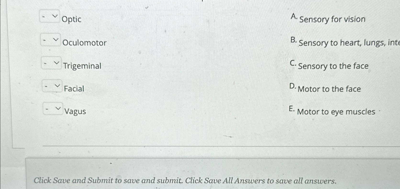Solved OpticA. ﻿Sensory for visionOculomotorB. ﻿Sensory to | Chegg.com
