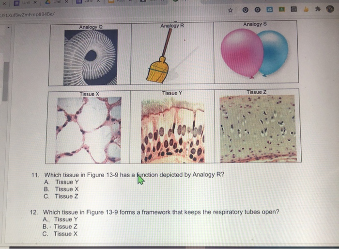 JSLXBwZmFmp8B4Be/ Analogy a Analogy R Analogy s | Chegg.com