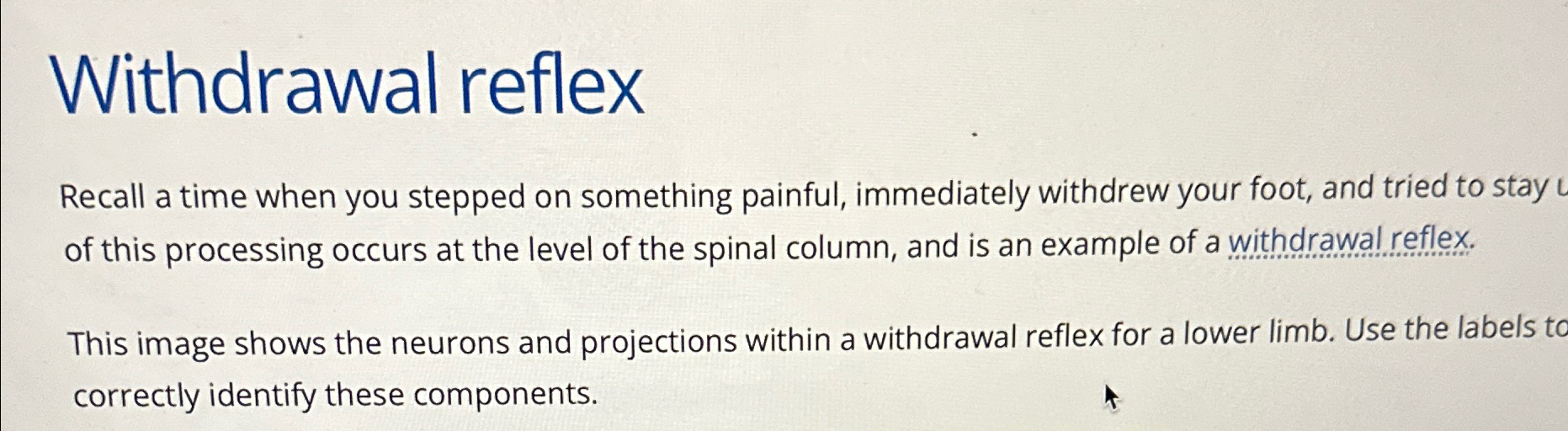 Solved Withdrawal reflexRecall a time when you stepped on | Chegg.com
