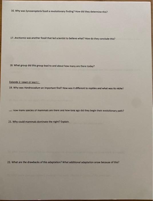 please answr the following questions for the | Chegg.com