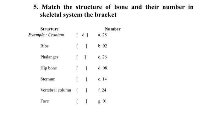 Solved 5. Match the structure of bone and their number in | Chegg.com