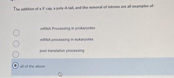 Solved The addition of a 5′ cap, a poly-A tail, and the | Chegg.com