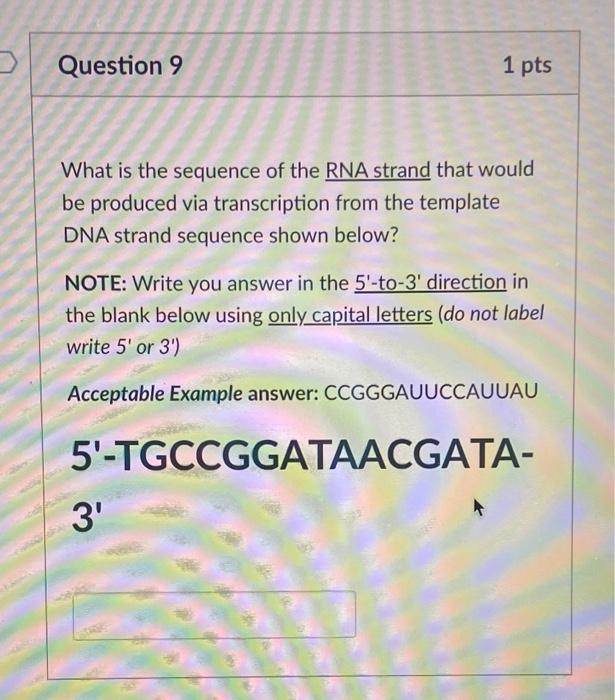 Solved What is the sequence of the RNA strand that would be | Chegg.com