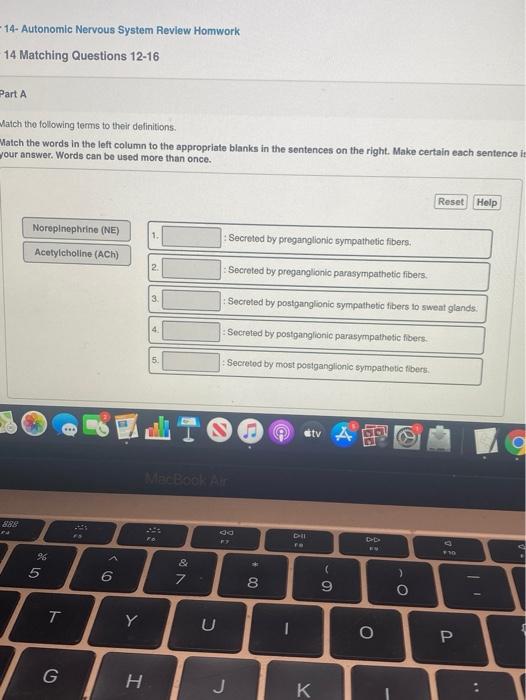 Solved - 14- Autonomic Nervous System Review Homwork 14 | Chegg.com