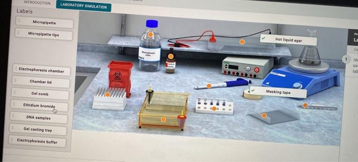 Solved Introduction Laboratory Simulation Labels