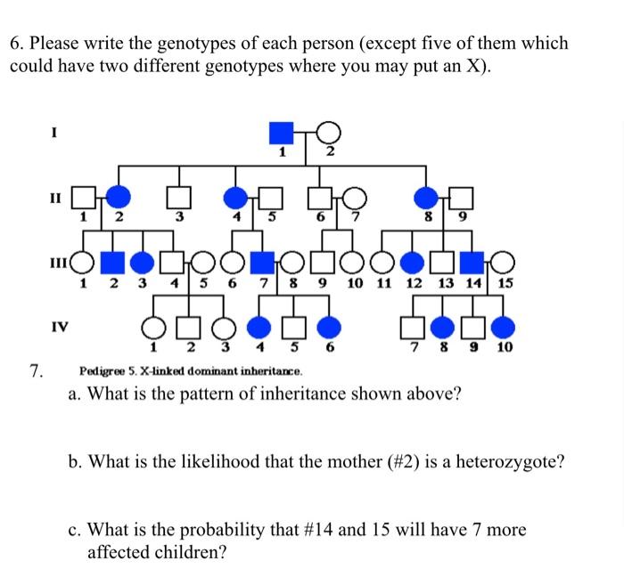 Solved 6. Please write the genotypes of each person (except | Chegg.com