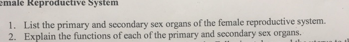 Solved Emale Reproductive System 1 List The Primary And