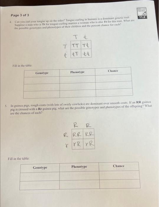 Solved 4 Can You Curf Your Tongue Up On The Sides