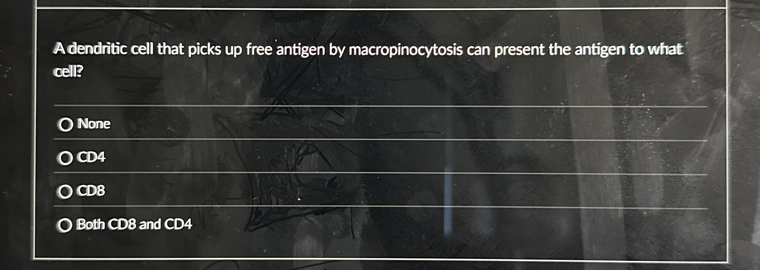 Solved A dendritic cell that picks up free antigen by | Chegg.com