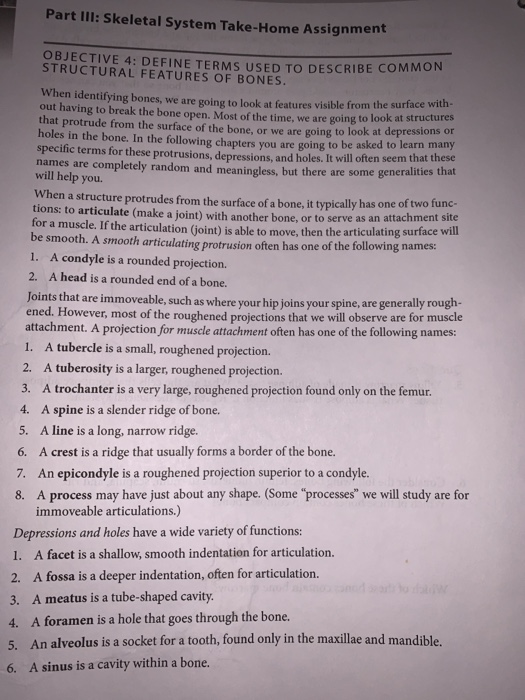 Solved Activity 11 4 If You Are Working On This Activity Chegg