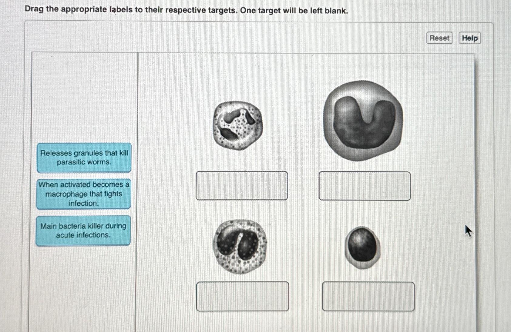 Drag the appropriate labels to their respective | Chegg.com