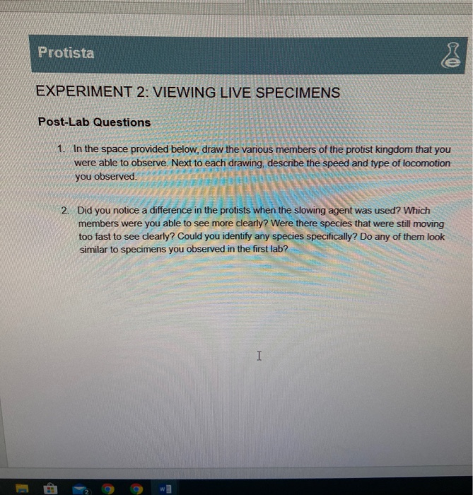 Solved - Fuente Párrafo Protista PRE-LAB QUESTIONS 1. | Chegg.com
