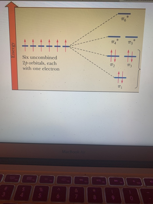 Solved In the electron configuration of benzene, the curly | Chegg.com