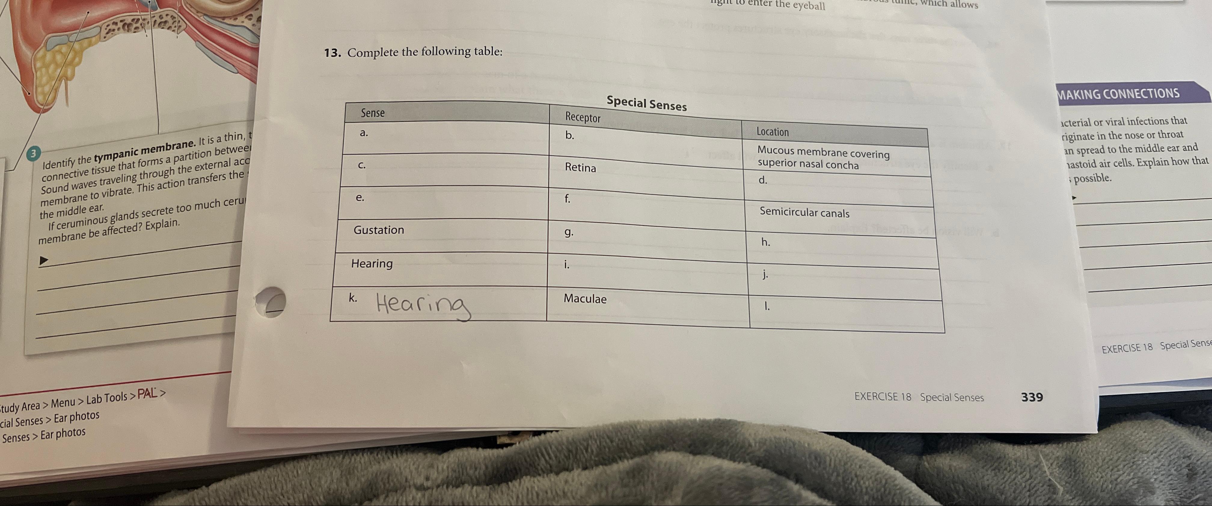 Solved Complete the following table:Identify the tympanic | Chegg.com