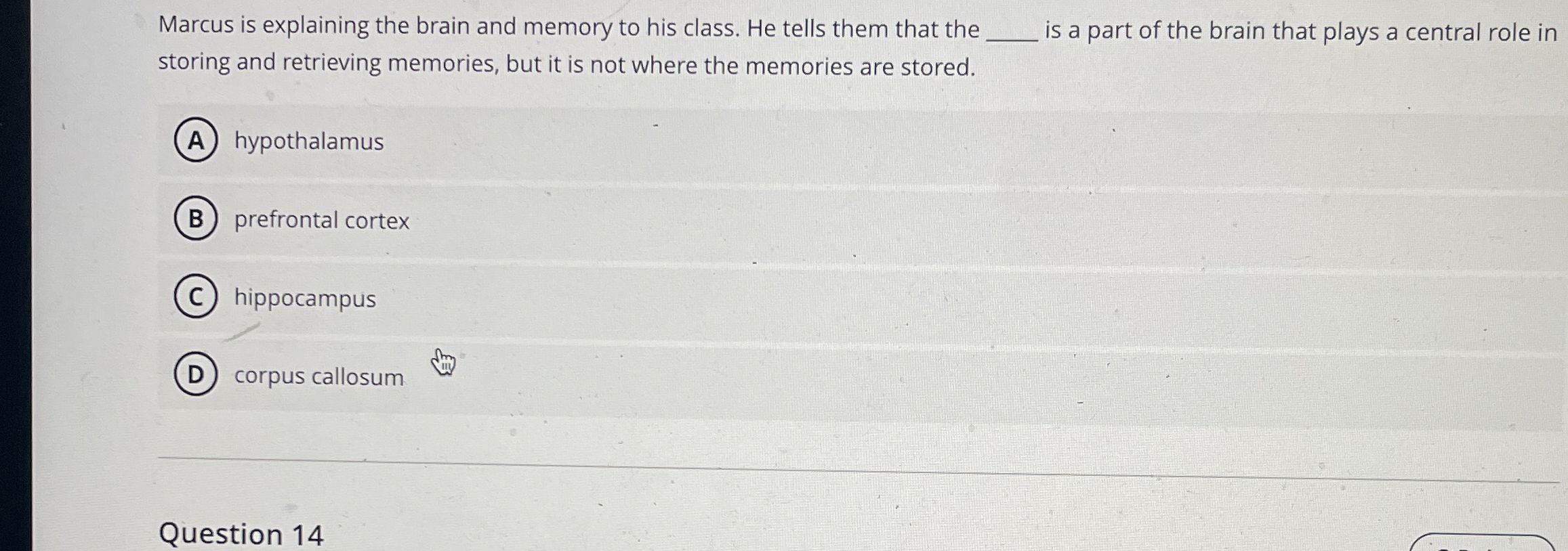 Solved Marcus is explaining the brain and memory to his | Chegg.com