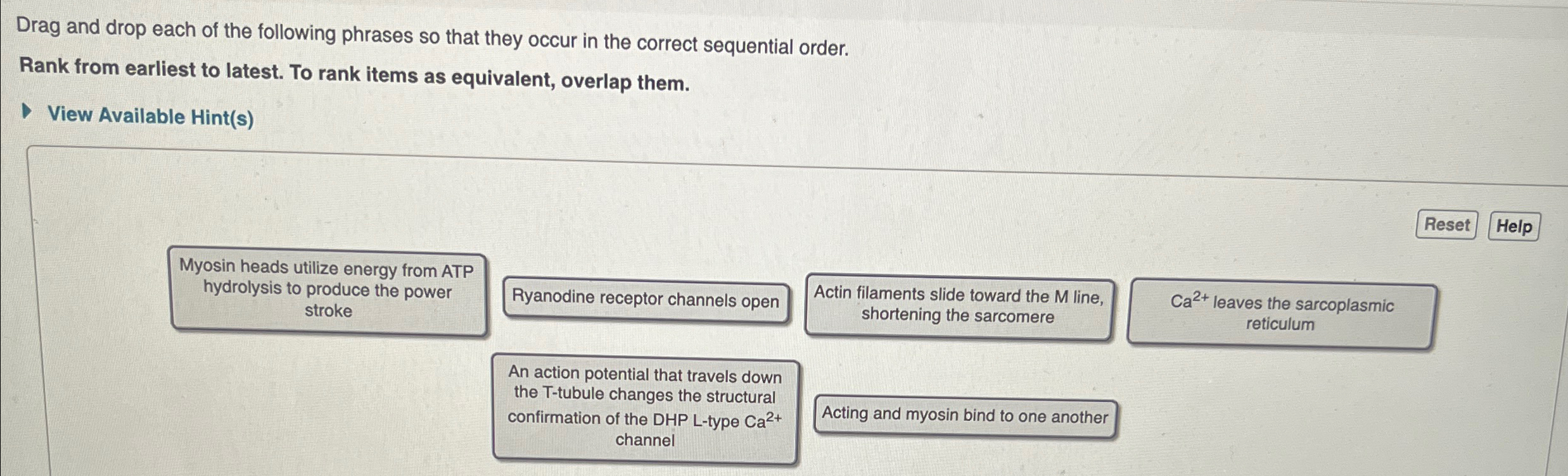 Solved Drag and drop each of the following phrases so that | Chegg.com