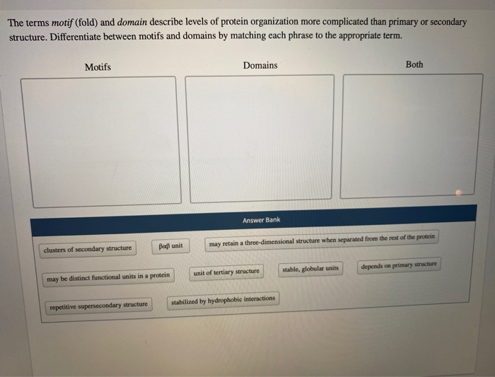 Solved The terms motif (fold) and domain describe levels of | Chegg.com