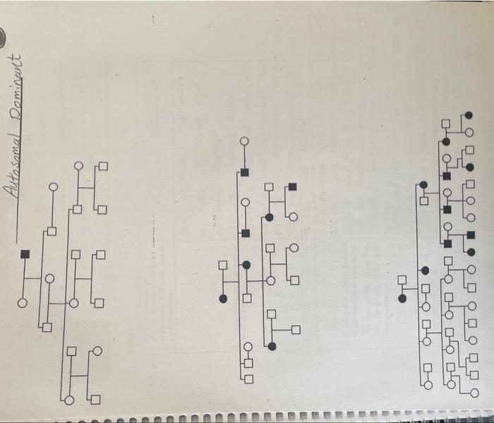 Solved please help to identify the genotype for each | Chegg.com Solved please help to identify the genotype for each | Chegg.com