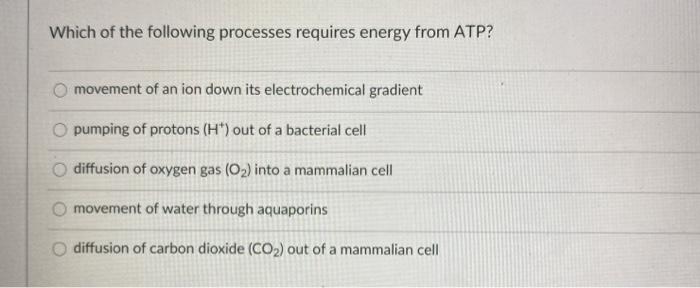 Solved Which of the following processes requires energy from | Chegg.com