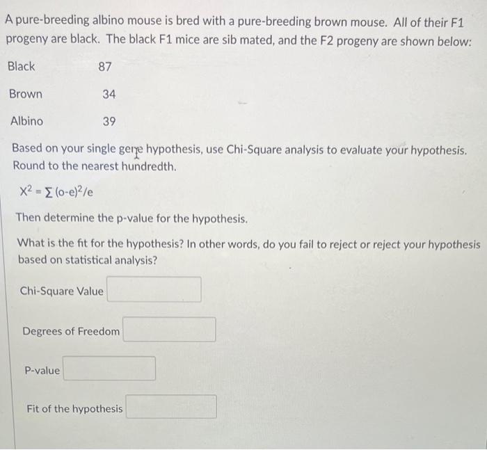 Solved A pure-breeding albino mouse is bred with a | Chegg.com