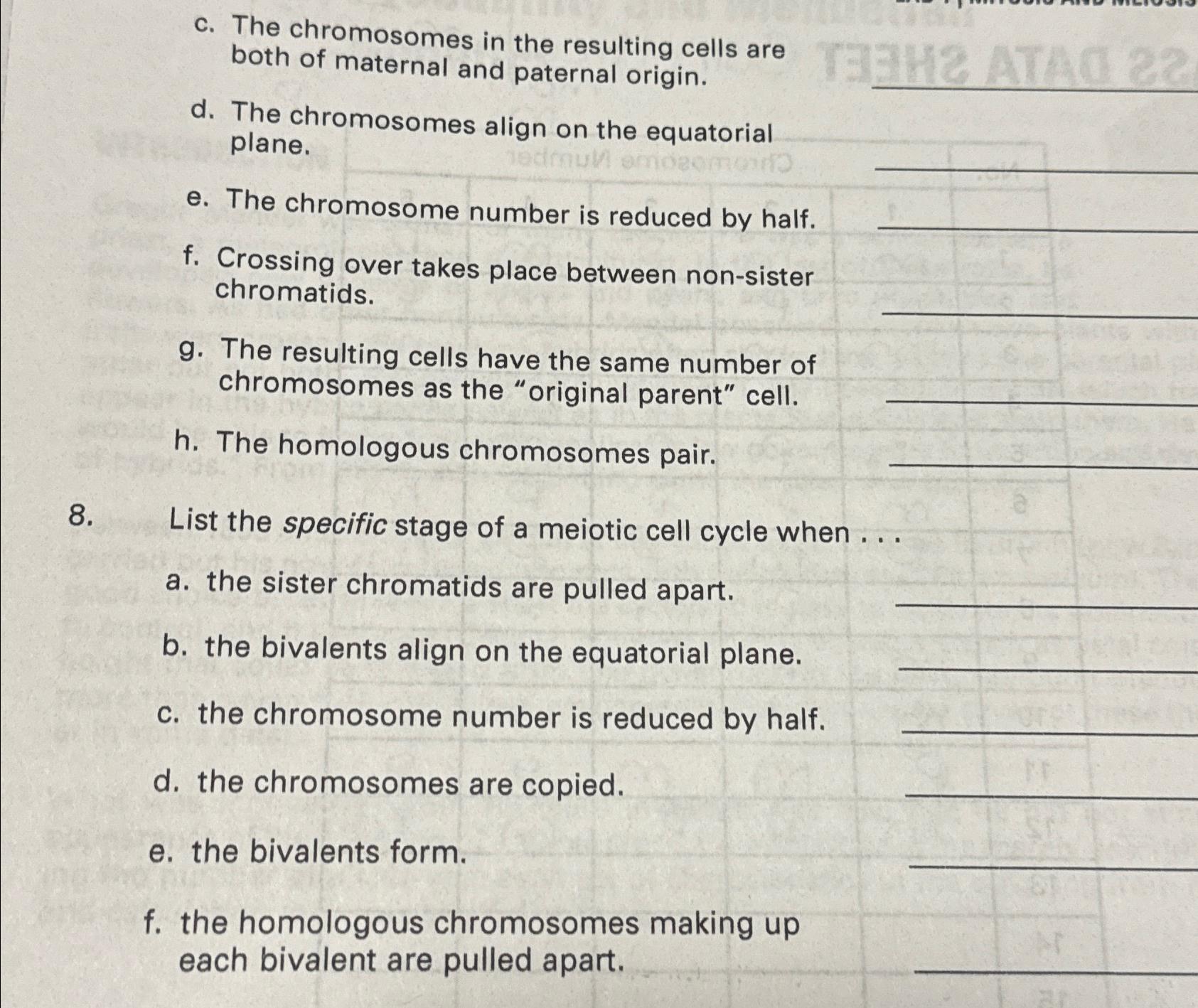 Solved c. ﻿The chromosomes in the resulting cells are both | Chegg.com