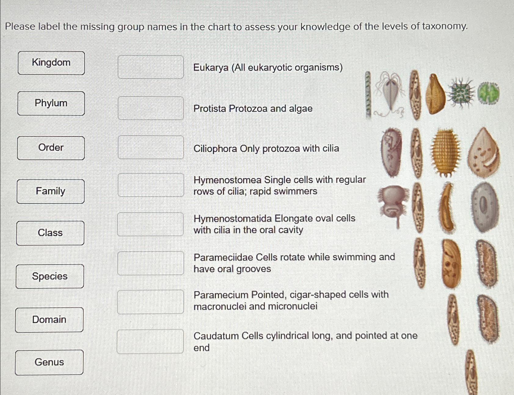 Solved Please label the missing group names in the chart to | Chegg.com