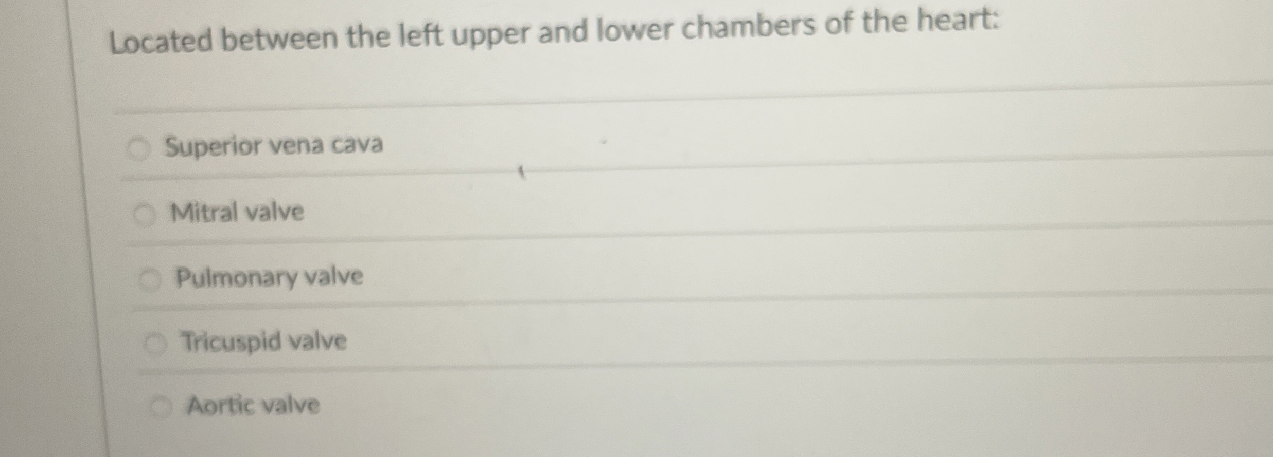 Solved Located between the left upper and lower chambers of | Chegg.com