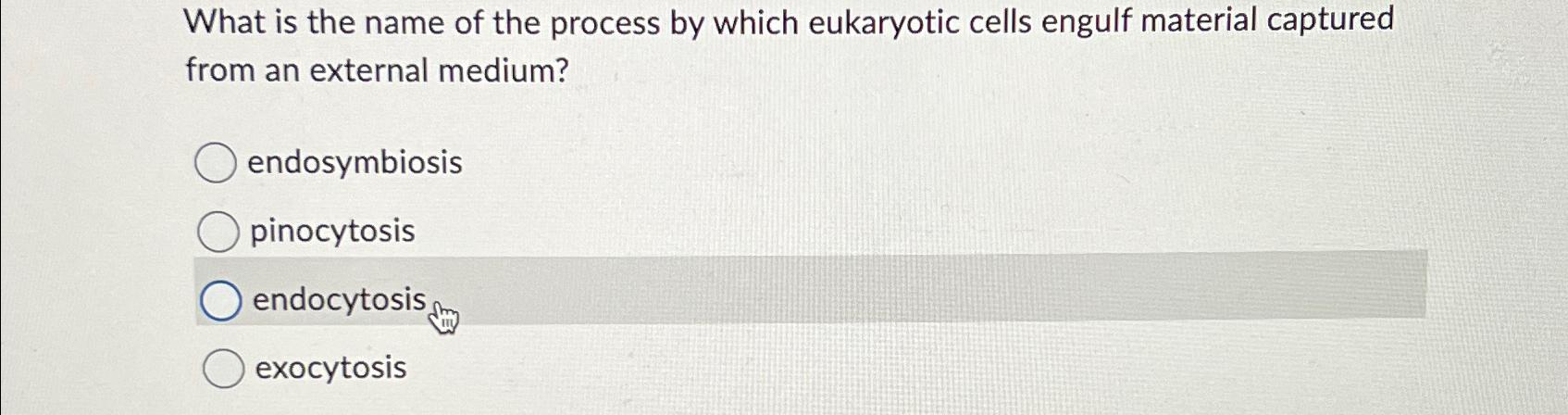 Solved What is the name of the process by which eukaryotic | Chegg.com