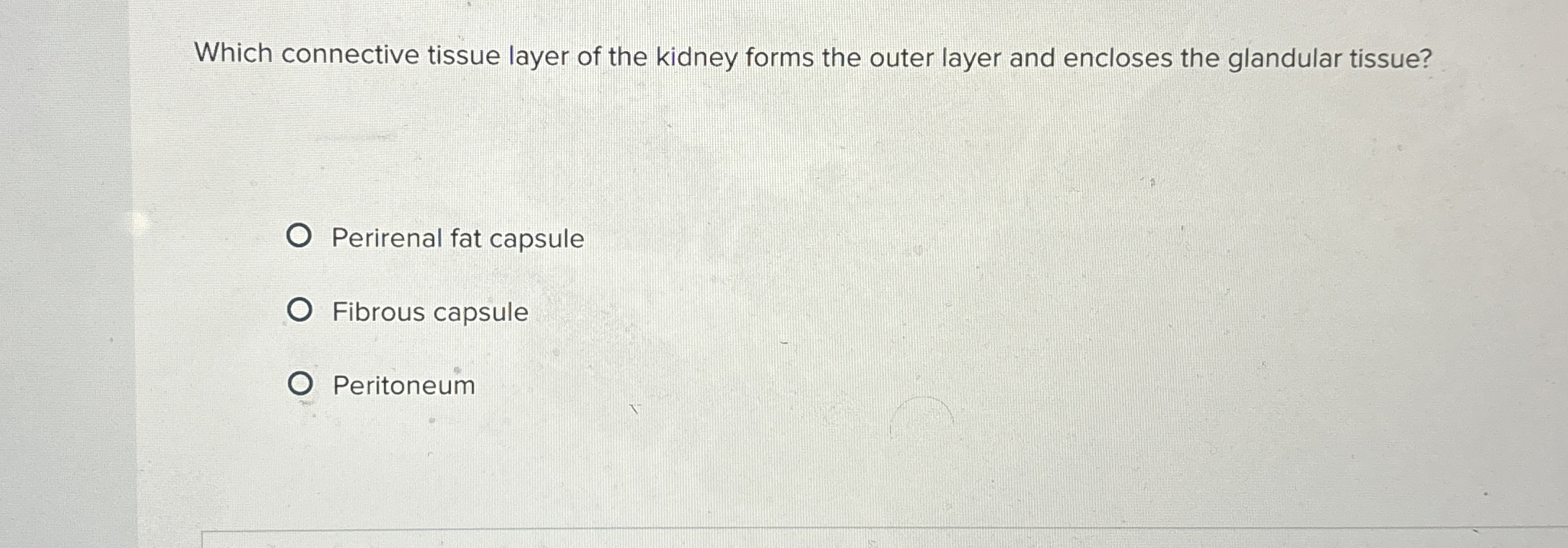 Solved Which connective tissue layer of the kidney forms the | Chegg.com