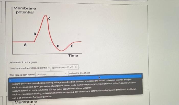 Solved Membrane potential с B A D E approximately 0 mv | Chegg.com