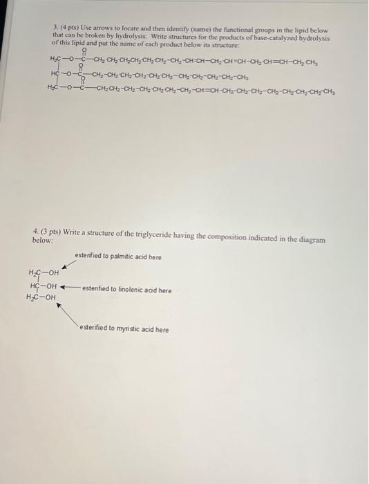 Solved 3. (4 pts) Une arrows to locate and then identify | Chegg.com
