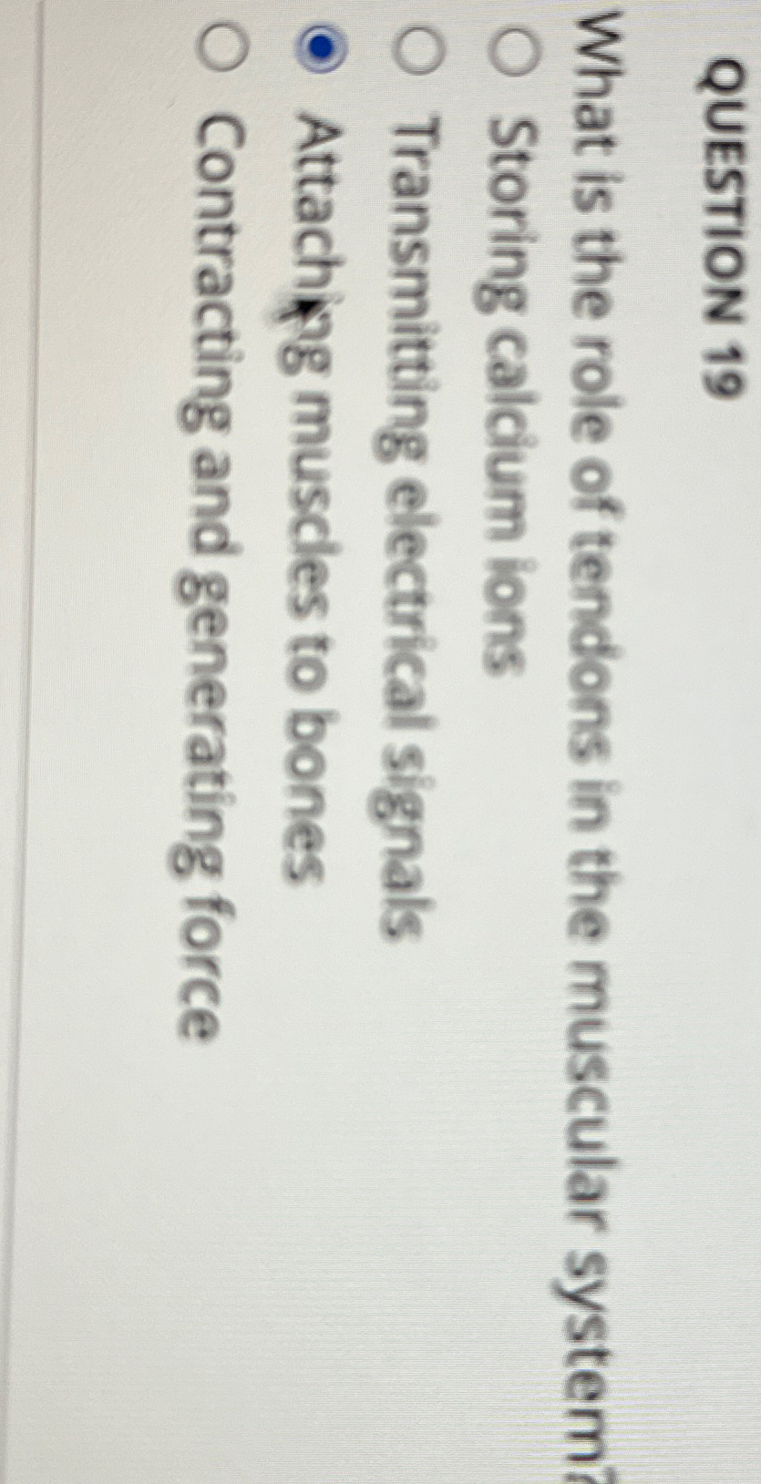 Solved QUESTION 19What is the role of tendons in the | Chegg.com