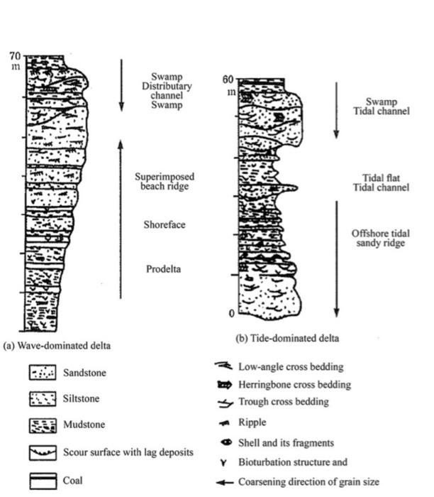 For each stratigraphic column, interpret the | Chegg.com