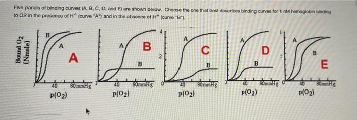 Solved Five panels of binding curves (A, B, C, D, and are | Chegg.com