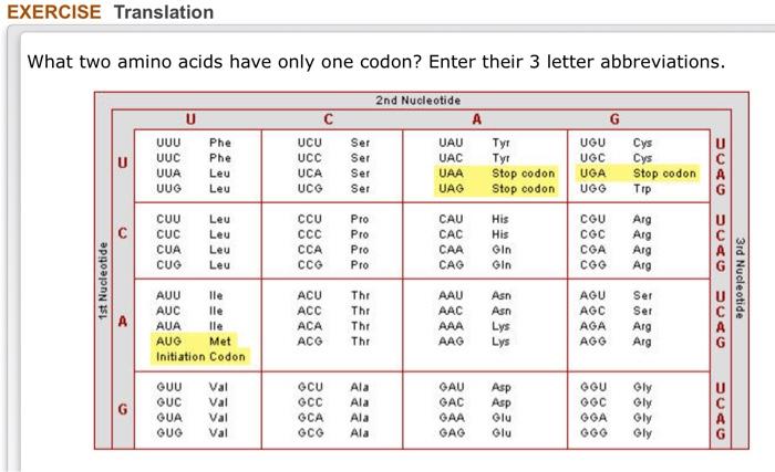 Solved The first three codons for a mRNA sequence are 5' GGC | Chegg.com