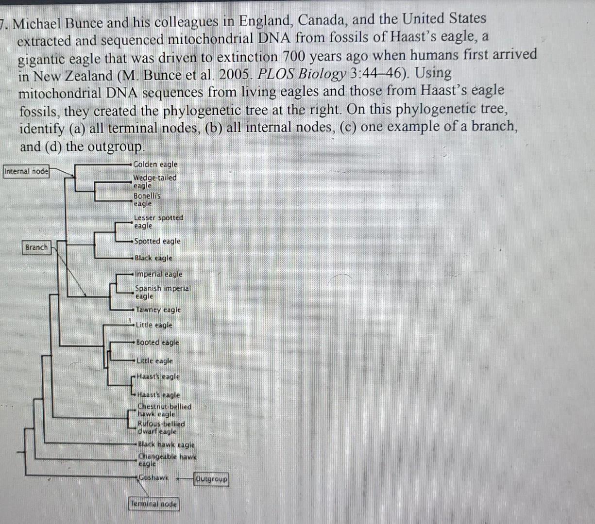 Solved The following illustrations represent two different | Chegg.com