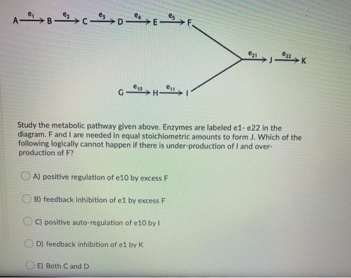 Solved A>->>>> F e22 22 K G H Study the metabolic pathway | Chegg.com