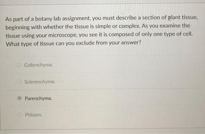 Solved As part of a botany lab assignment, you must describe | Chegg.com